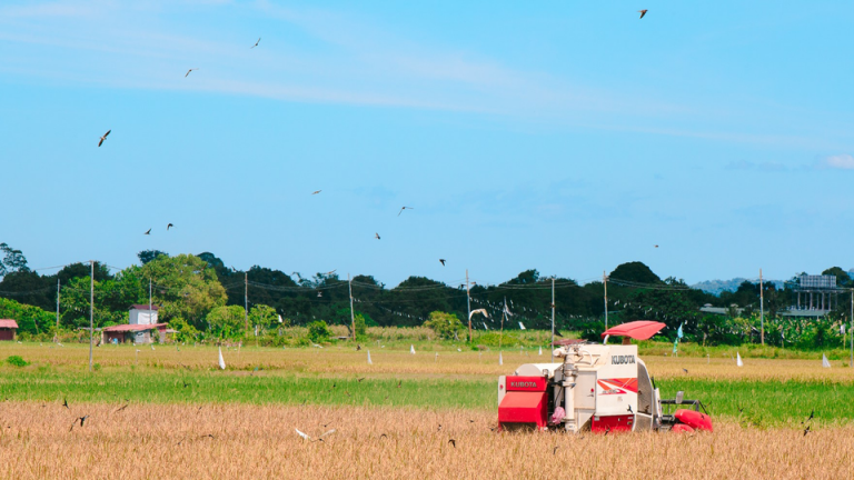 How this retired Lieutenant Colonel led the revival of Wasan, Brunei's ...