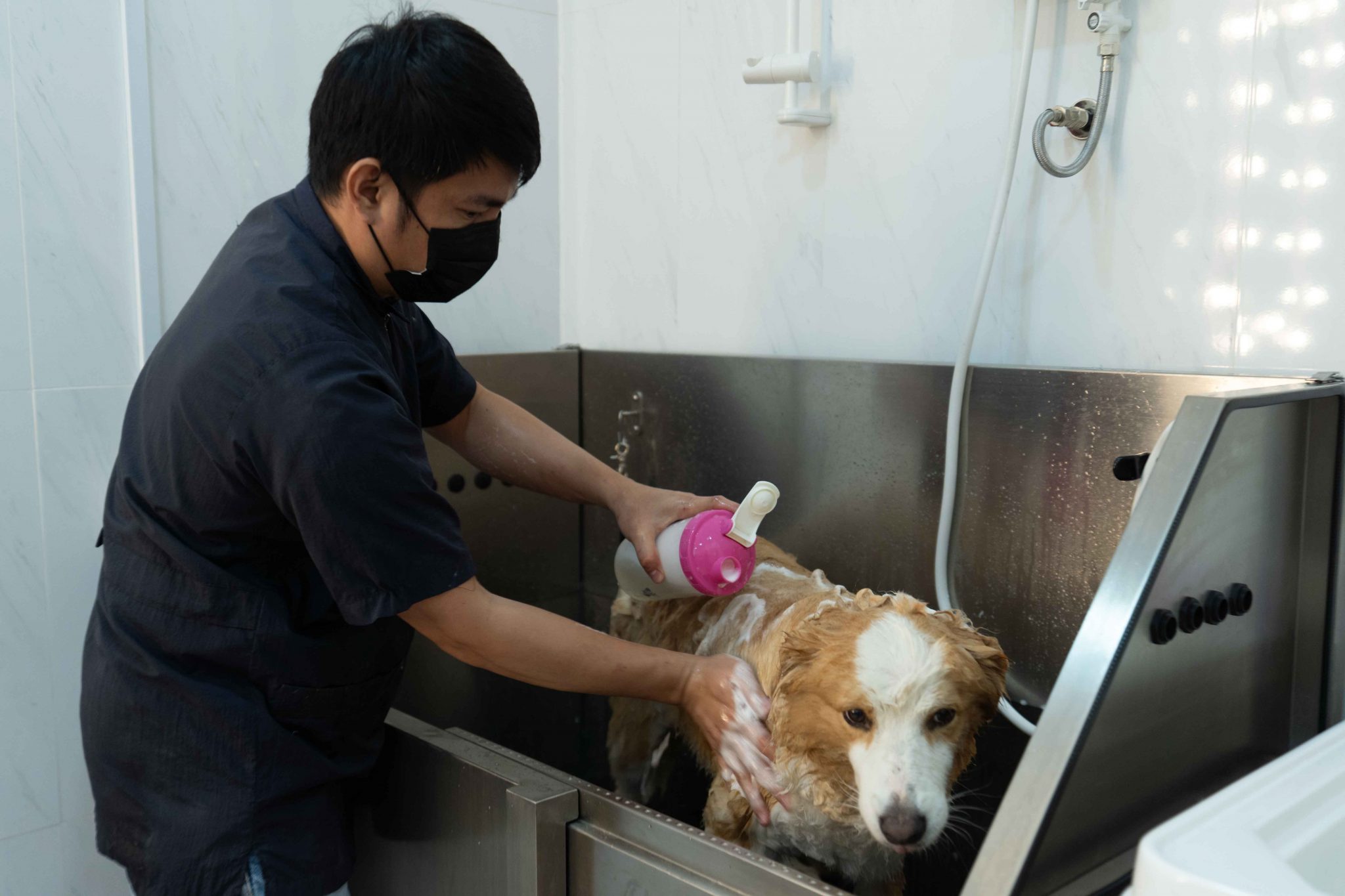 Si Manja Pet Grooming Spa opens Sengkurong branch - Biz Brunei