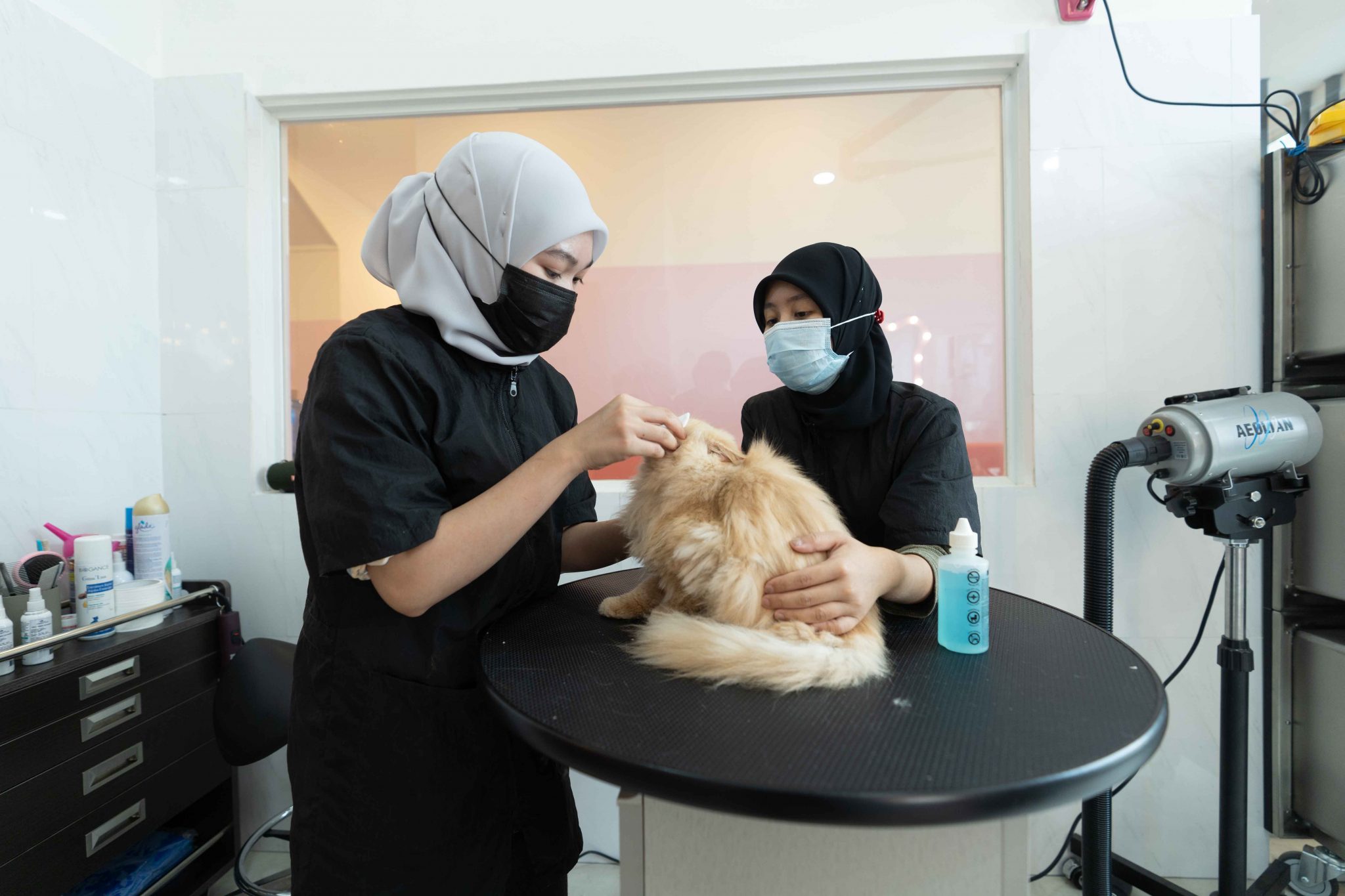 Si Manja Pet Grooming Spa opens Sengkurong branch - Biz Brunei