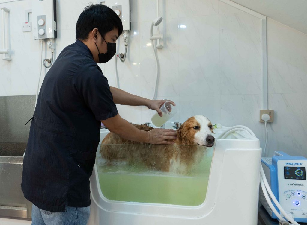 Si Manja Pet Grooming Spa opens Sengkurong branch - Biz Brunei