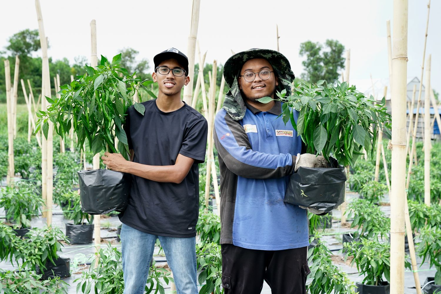 Inside the AgroBiz project that trained Bruneian youth to farm - Biz Brunei