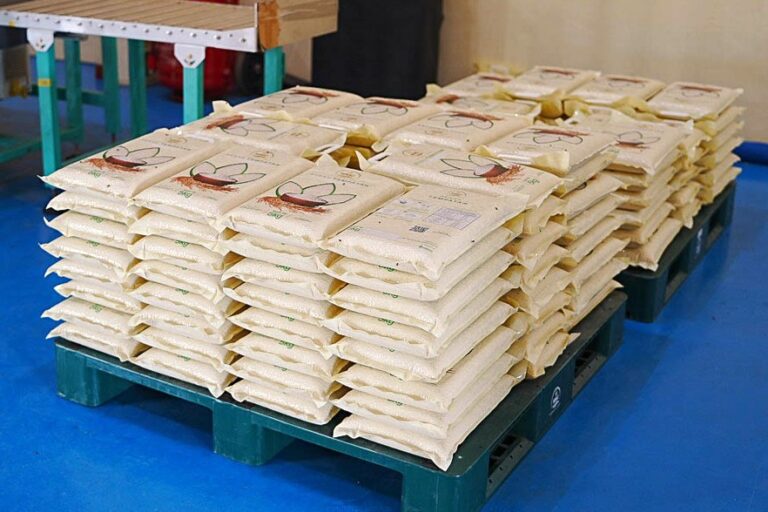 Wasan Milling Company more than doubles national milling capacity - Biz ...
